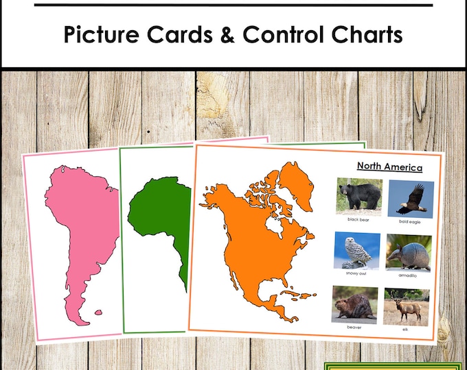 Animal Continents Activity Sheets - Etsy Canada