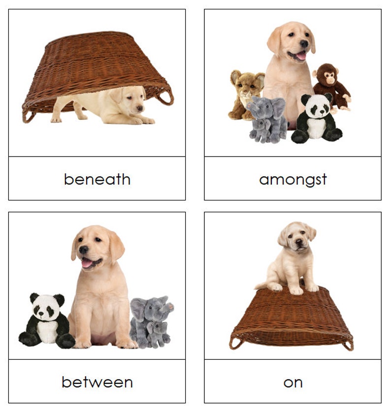 Preposition Picture Cards dog Montessori Language & Grammar Printable ...
