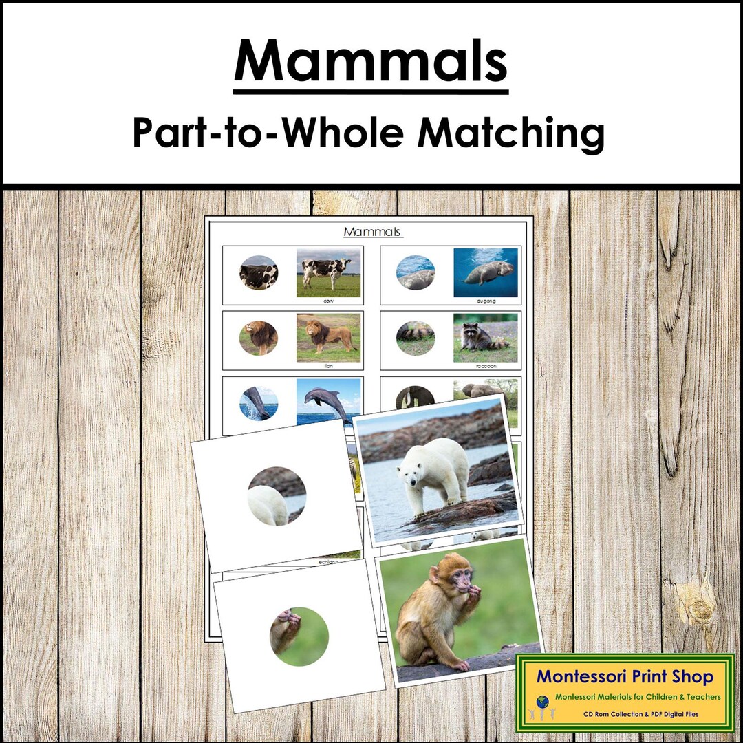 Mammals Part-to-whole Matching Cards & Control Chart - Montessori ...
