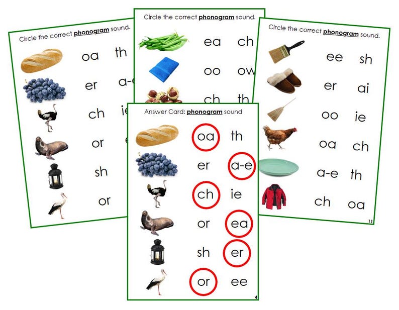 Montessori Green Phonetic Language Series Bundle [PHOTOS] - Primary ...