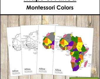 Parts of a Root Nomenclature 3-part Cards Montessori Botany Printable ...