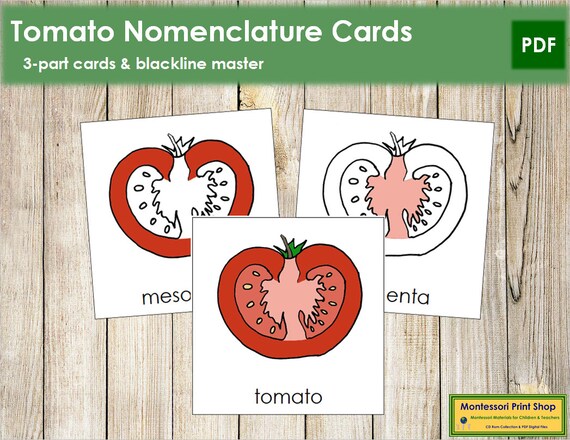 Parts of a Tomato Nomenclature 3-part Cards Montessori | Etsy