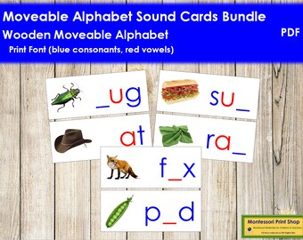 Montessori Moveable Alphabet Sound Cards Bundle Blue/red | Etsy
