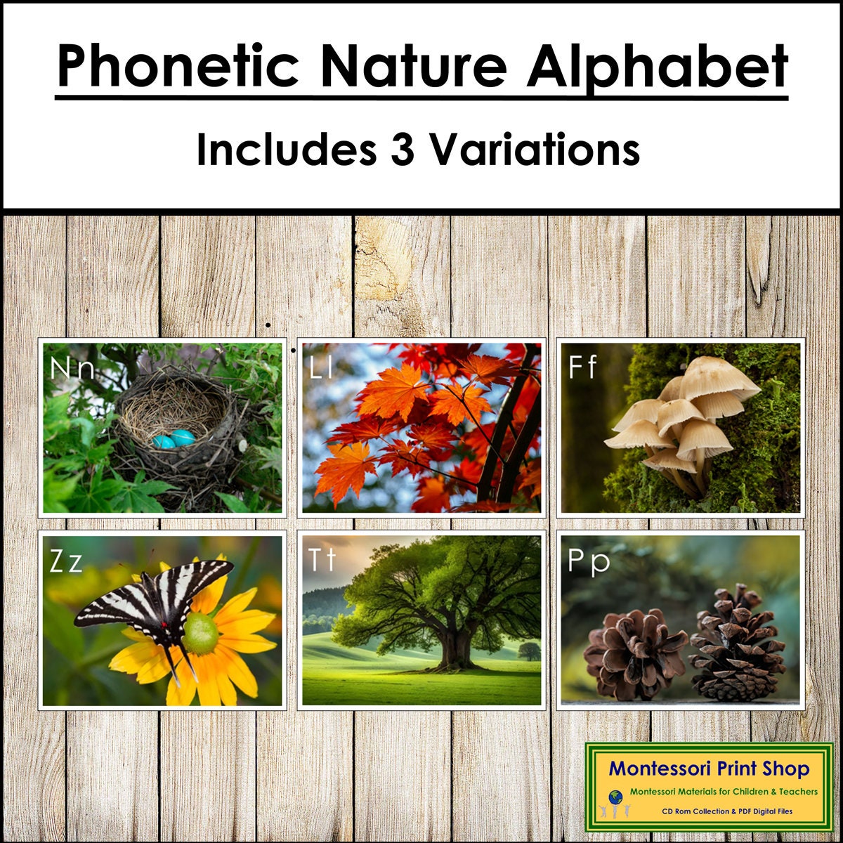 Phonetic Nature Alphabet Cards - Montessori Pre-reading Phonics ...