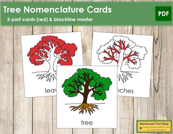 Parts of a Tree Nomenclature 3-part Cards RED Montessori | Etsy