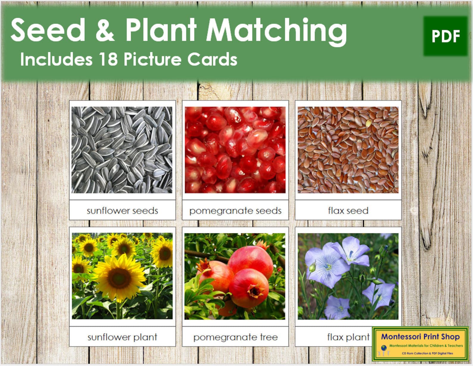 Seed and Plant Matching Cards Montessori Botany Printable - Etsy
