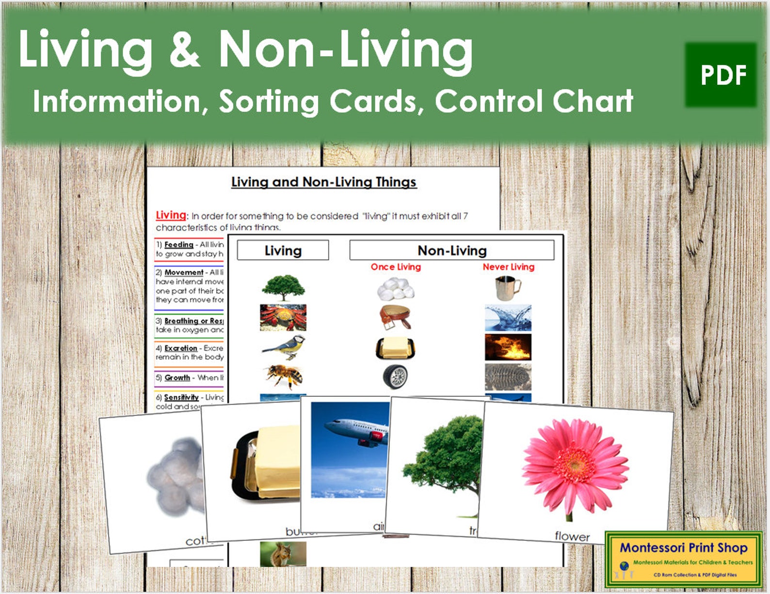 Living and Non-living Sorting Cards & Control Chart Science - Etsy