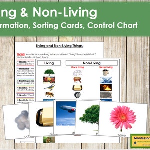 Living and Non-living Sorting Cards & Control Chart Science - Etsy