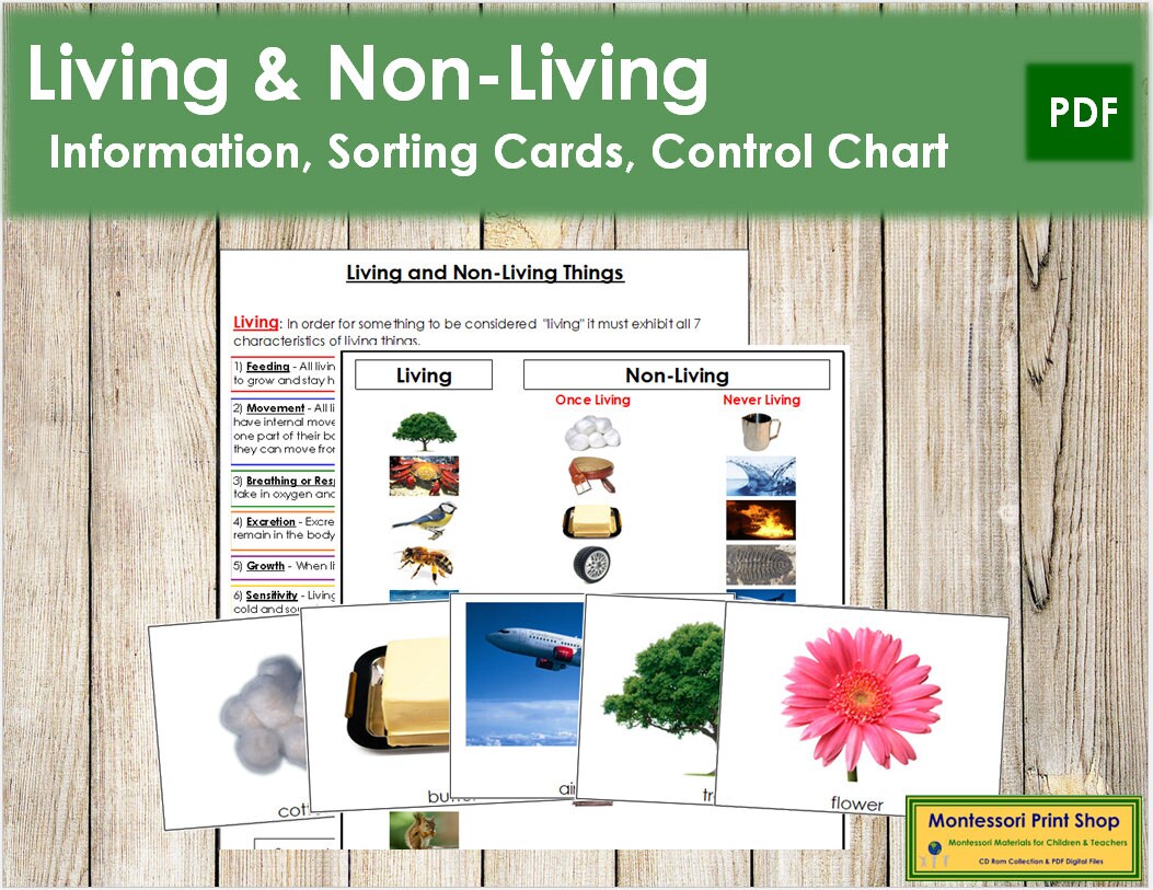 Living and Non-living Sorting Cards & Control Chart Science - Etsy UK