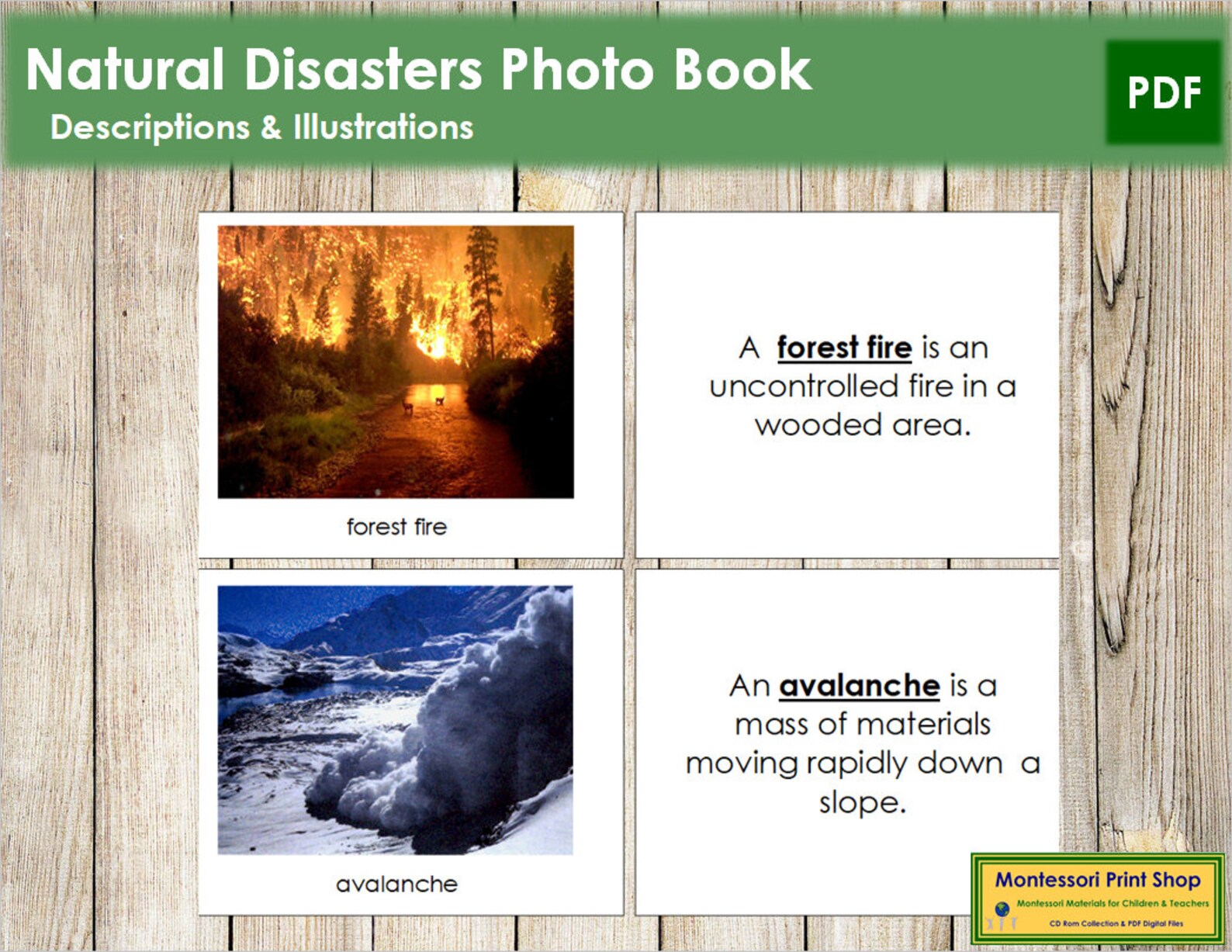 Natural Disasters Nomenclature Book Science Printable - Etsy