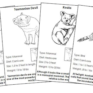 Animals of the World Information Cards Bundle (blackline Masters ...