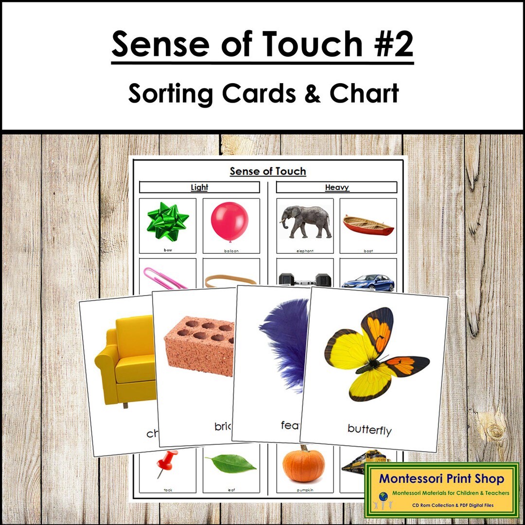 Sense of Touch Sorting Cards & Chart Set 2 - Montessori Science ...