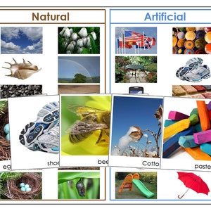 Natural or Artificial Things Sorting Cards & Control Chart - Science ...