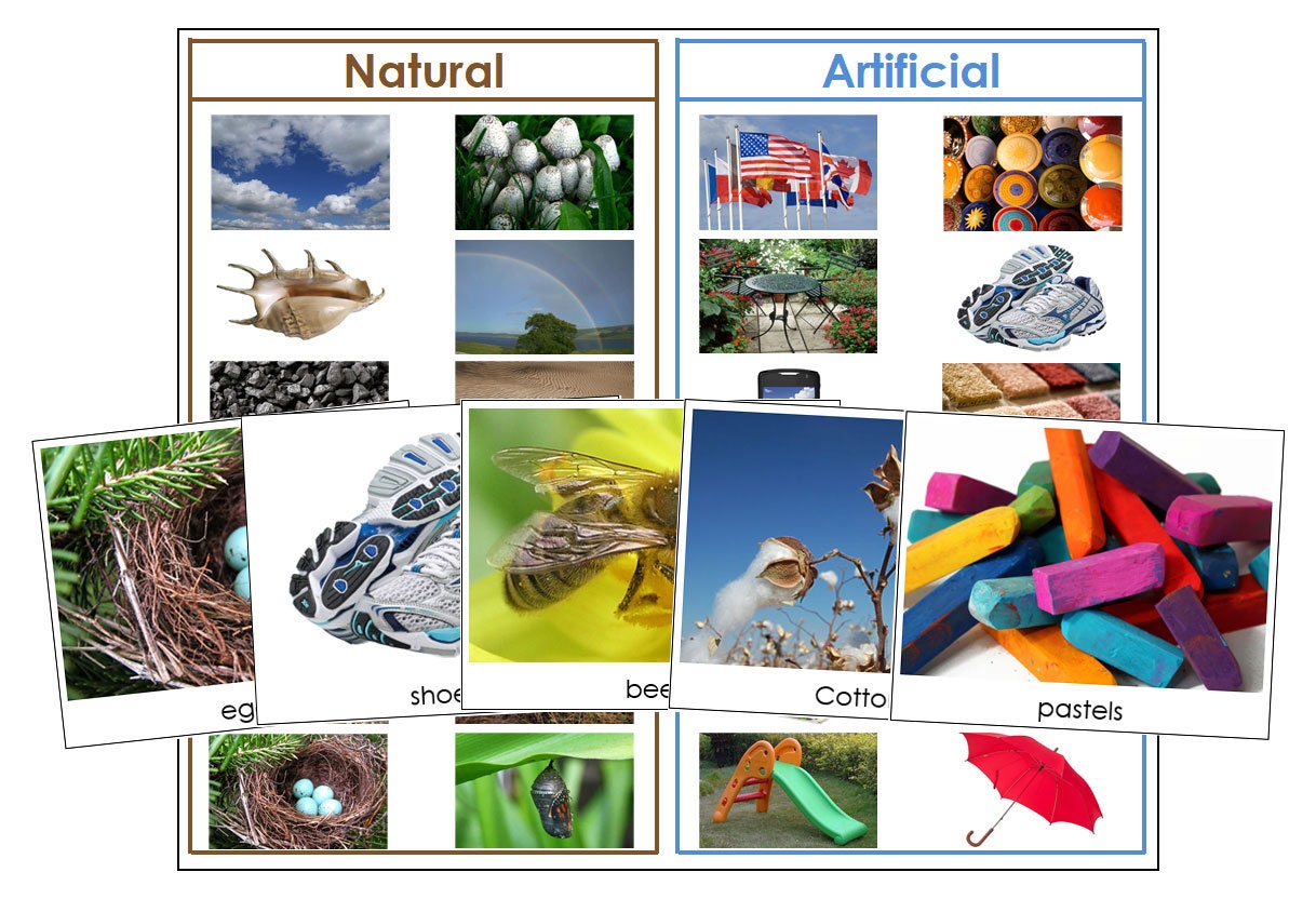 Natural Or Artificial Things Sorting Cards And Control Chart Science