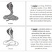 Parts of a Snake Nomenclature Book - Montessori Zoology - Printable ...