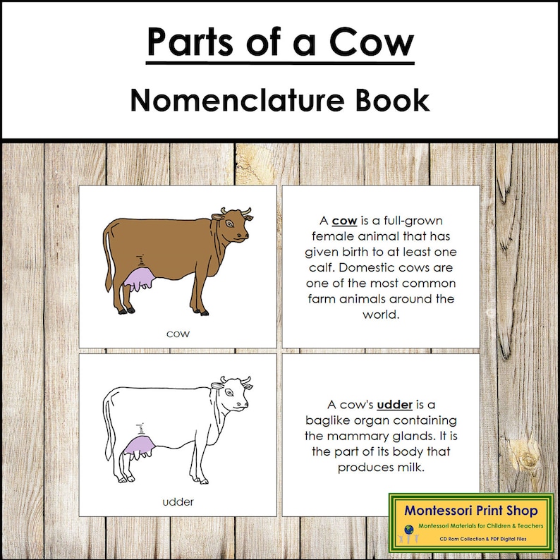 Parts of a Cow Nomenclature Book - Montessori Zoology (digital Download ...