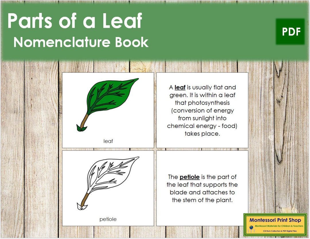 Parts of a Leaf Nomenclature Book Montessori Botany - Etsy