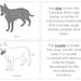 Parts of a Dog Nomenclature Book - Montessori Zoology (digital Download ...