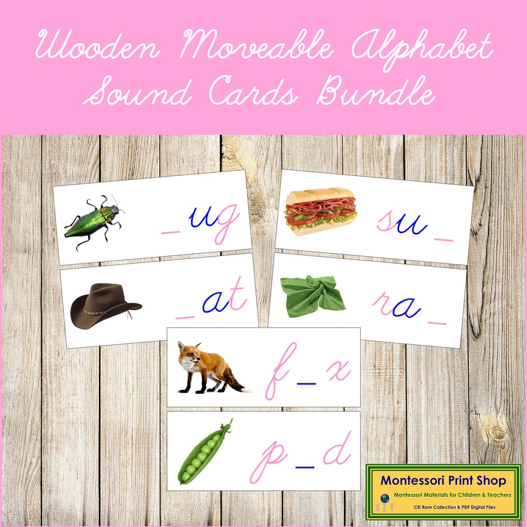 Wooden Moveable Alphabet Sound Cards Bundle Pink/blue (cursive ...