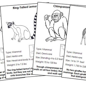 Animals of the World Information Cards Bundle (blackline Masters ...