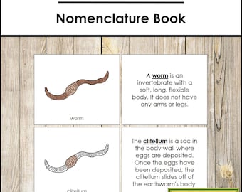Parts of a Kangaroo Nomenclature Book Montessori Zoology Printable ...