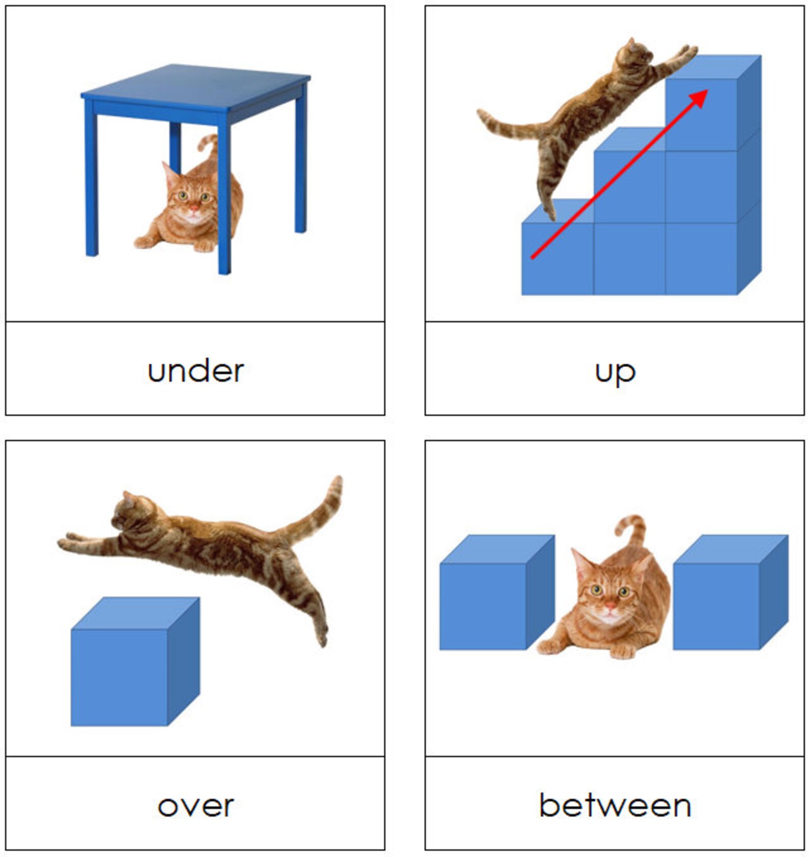 Preposition Picture Cards Montessori Language & Grammar - Etsy