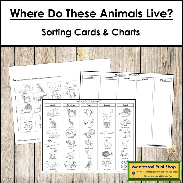 MontessoriPrintShop - Etsy