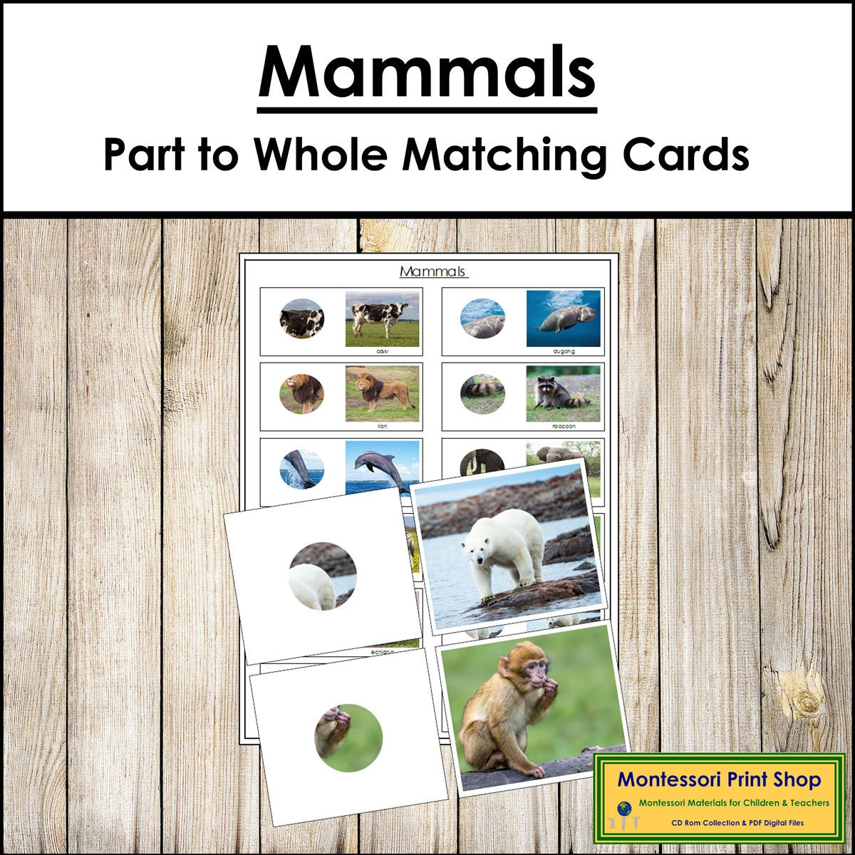Mammals Part to Whole Matching Cards & Control Chart Zoology - Etsy
