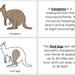 Parts of a Kangaroo Nomenclature Book - Montessori Zoology - Printable ...