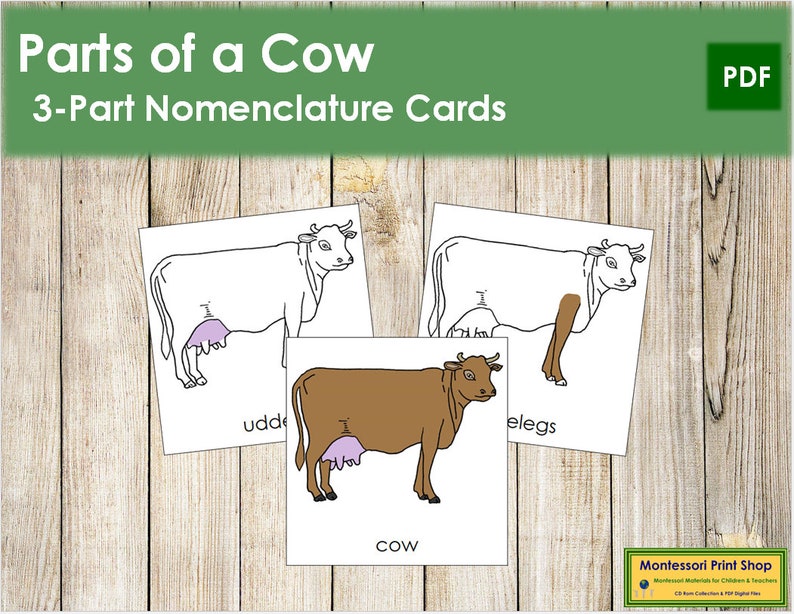 Parts of a Cow Nomenclature 3-part Cards Montessori Zoology - Etsy