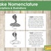 Parts of a Snake Nomenclature Book Montessori Zoology - Etsy Canada