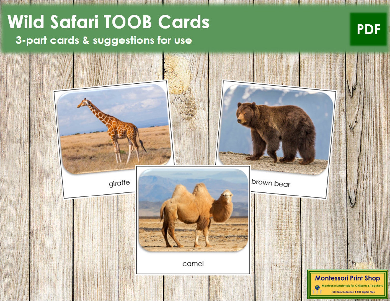 Wild Safari TOOB Cards Printable Montessori Cards Digital | Etsy