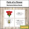Parts of a Bulb Nomenclature Book - Montessori Botany - Printable ...