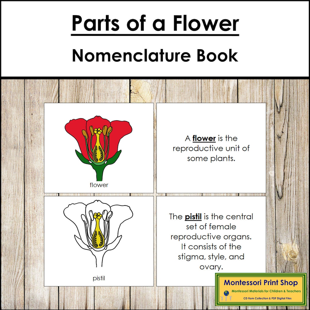 Parts of a Flower Nomenclature Book - Montessori Botany (digital ...
