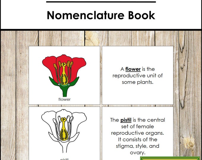 Parts of a Plant Nomenclature 3-part Cards & Blackline Master ...