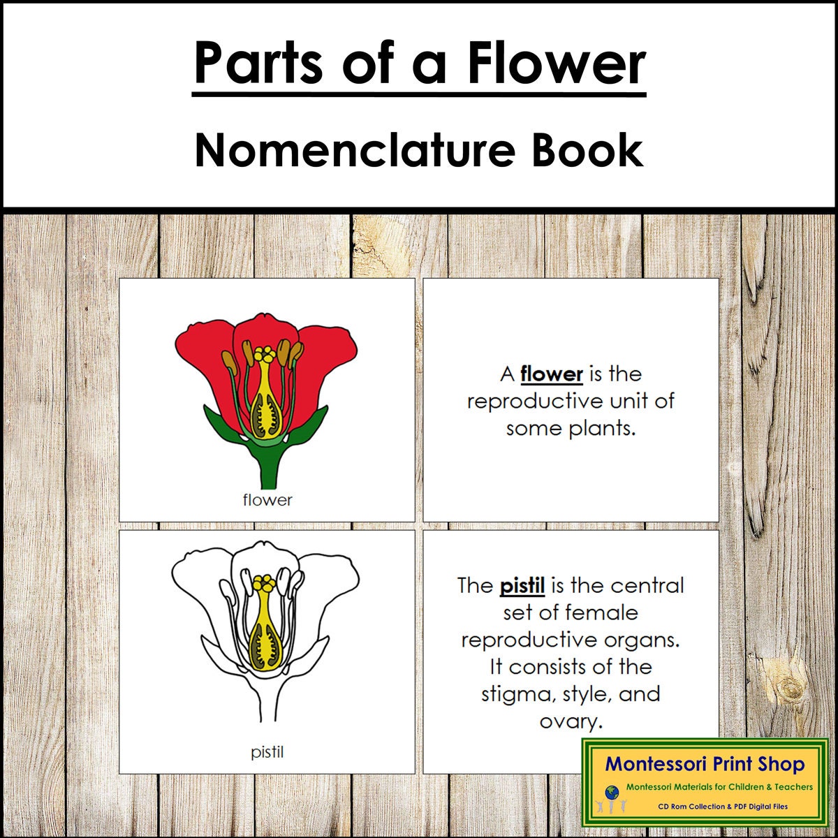 Parts of a Flower Nomenclature Book Montessori Botany Printable ...