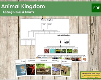 Montessori Animal Kingdom Classification Cards - Etsy