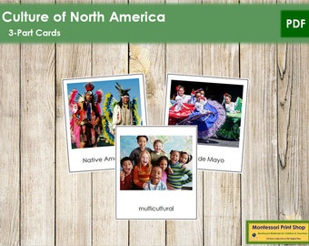 Flags of South America Montessori Continent Cards | Etsy