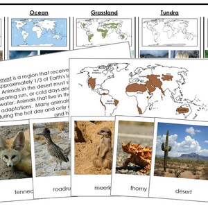 Animals and Their Habitats Sorting Cards, Maps, and Chart - Montessori ...
