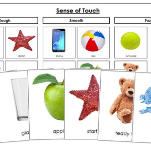 Sense of Touch Sorting Cards & Control Chart Set 3 - Science ...
