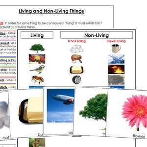 Living and Non-living Sorting Cards & Control Chart - Montessori ...