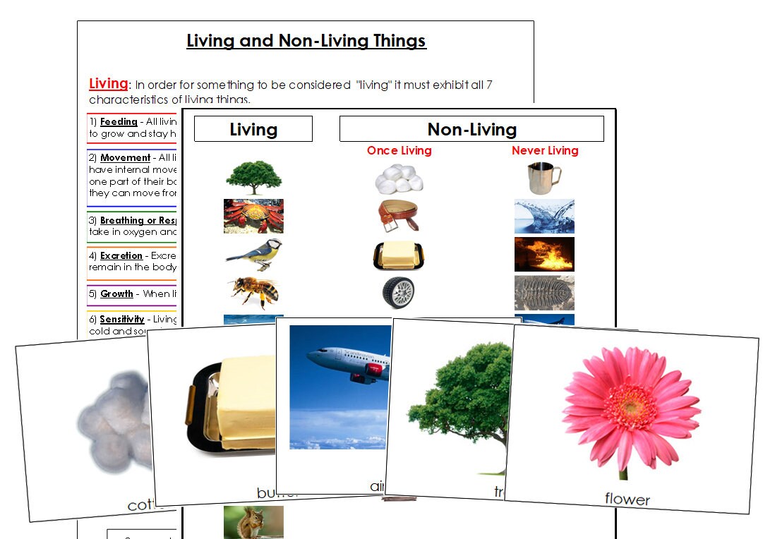 Living and Non-living Sorting Cards & Control Chart - Montessori ...
