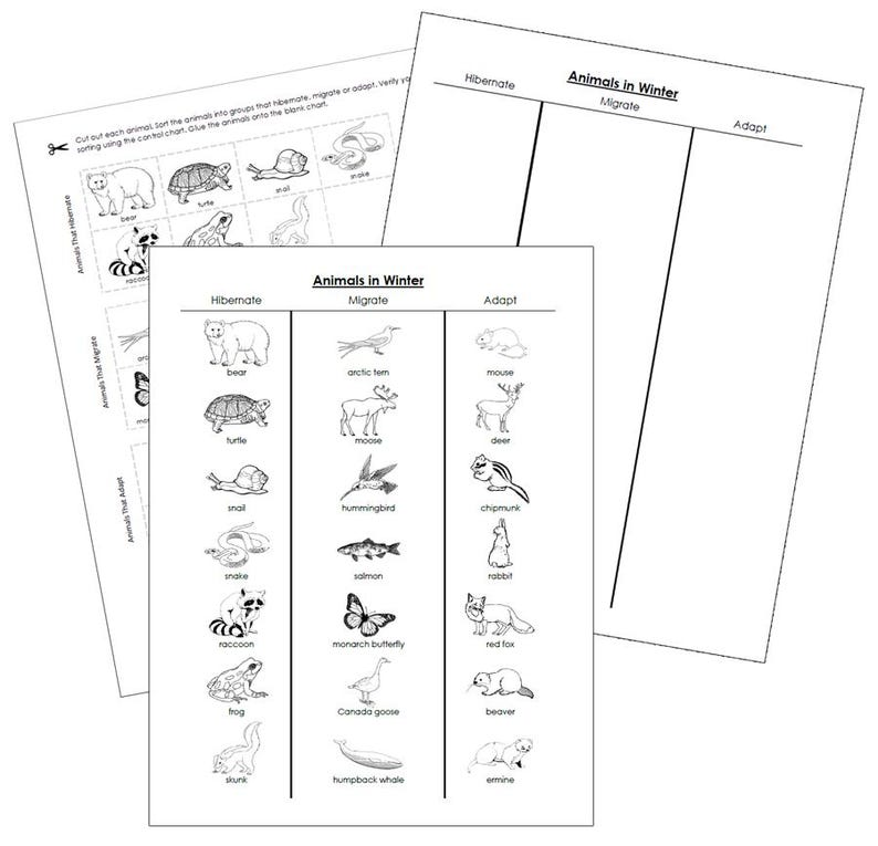 Animals in Winter Sorting Cut & Paste [blackline Masters] - Montessori ...