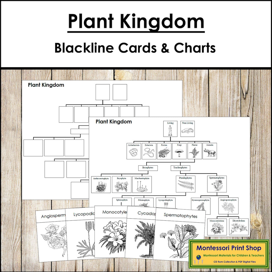 Plant Kingdom Charts & Cards [blackline Masters] - Montessori Botany ...