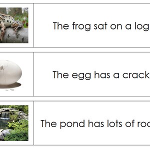 Step 2 Phonetic Language Series Bundle (PHOTOS) - Primary Language ...