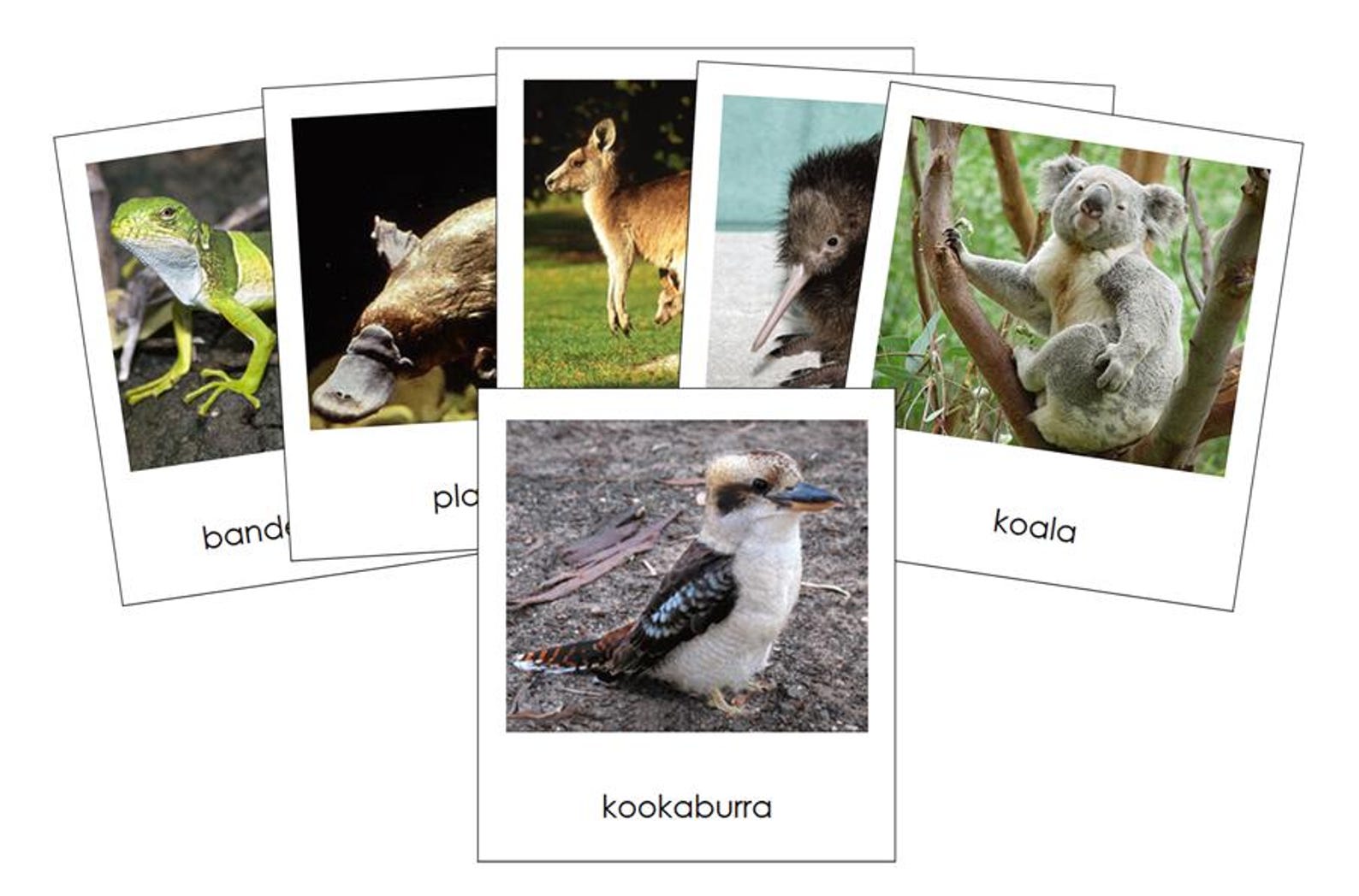 Cultures of the World 3-part Cards Bundle - Montessori Geography ...