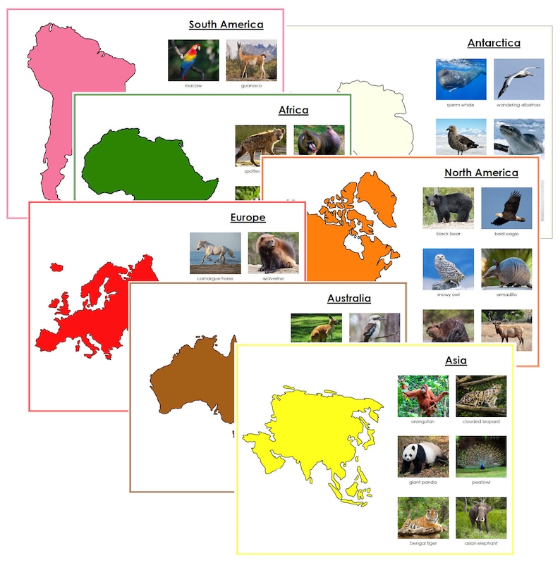 Animals of the Continents Sorting Activity Set 2 [color-coded ...
