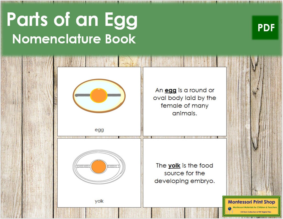 Parts of an Egg Nomenclature Book Science Printable - Etsy