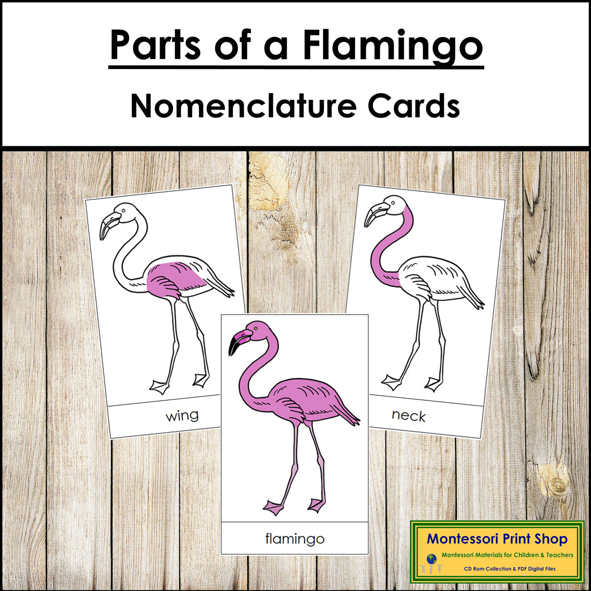 Parts of a Flamingo Nomenclature 3-part Cards Montessori - Etsy