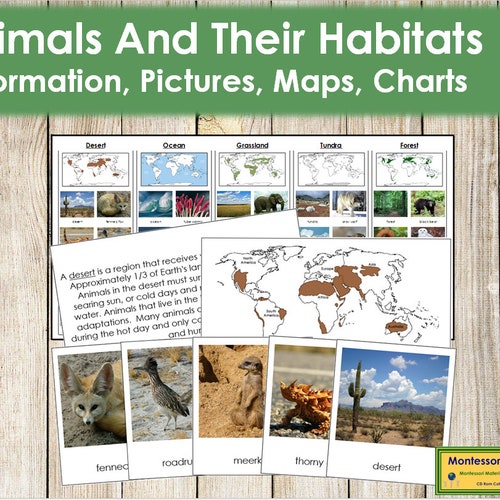 Animals and Their Skin Matching Cards Zoology Printable - Etsy